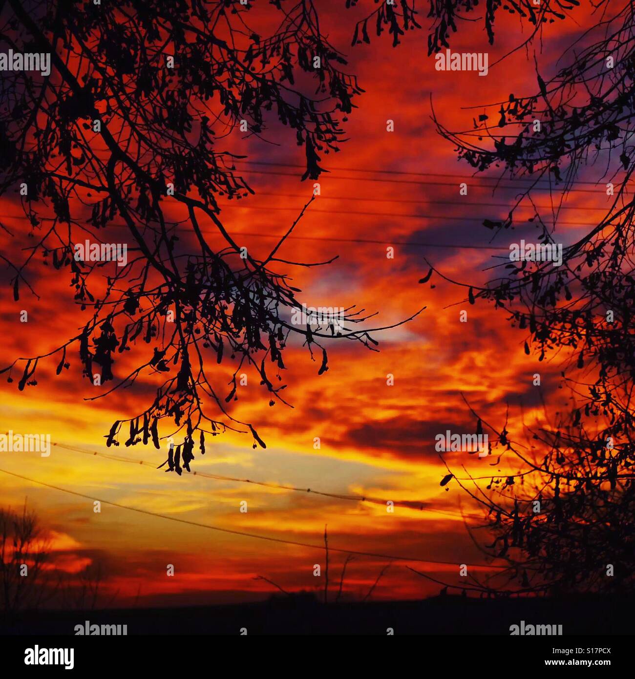 Orange night sky Stock Photo - Alamy
