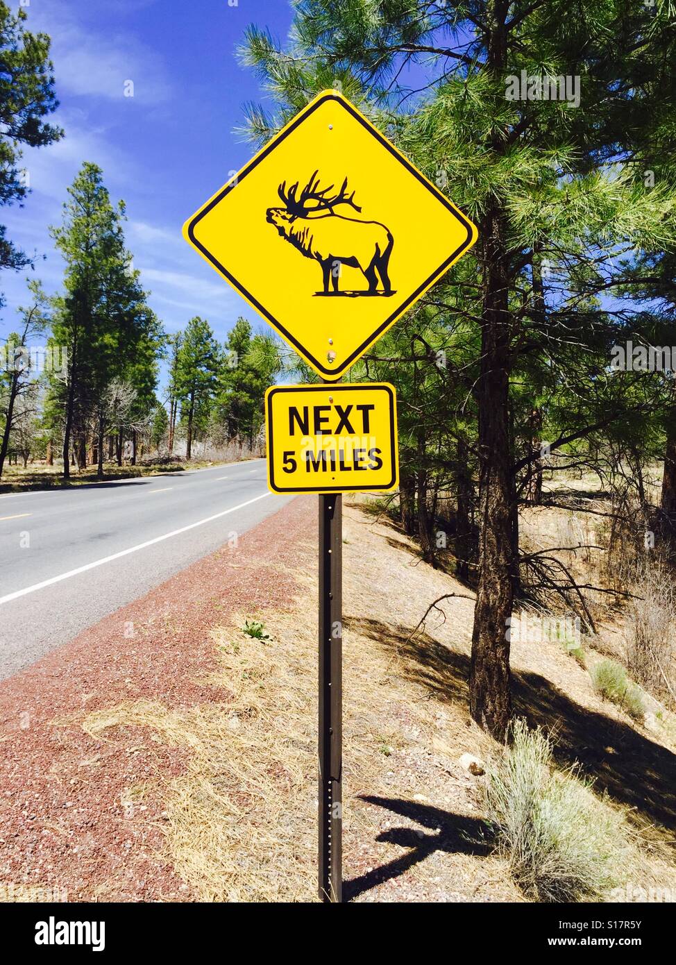 Deer road sign hi-res stock photography and images - Alamy