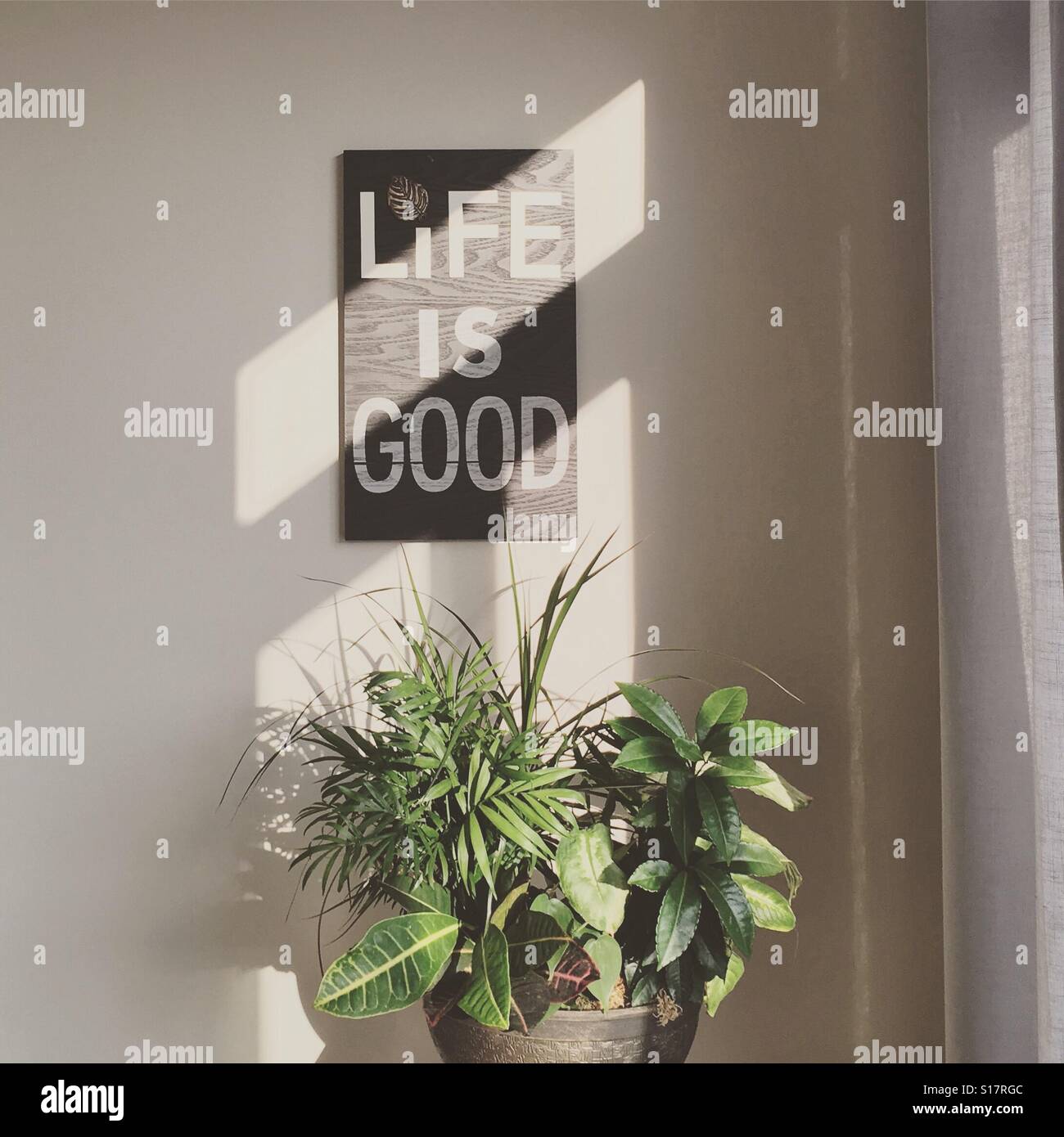 Good living life hi-res stock photography and images - Alamy