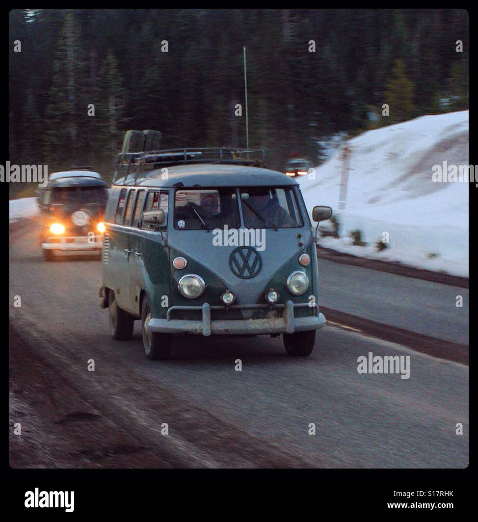 Winter road trip adventures in old VW buses, the 'Shasta Snow Trip ...