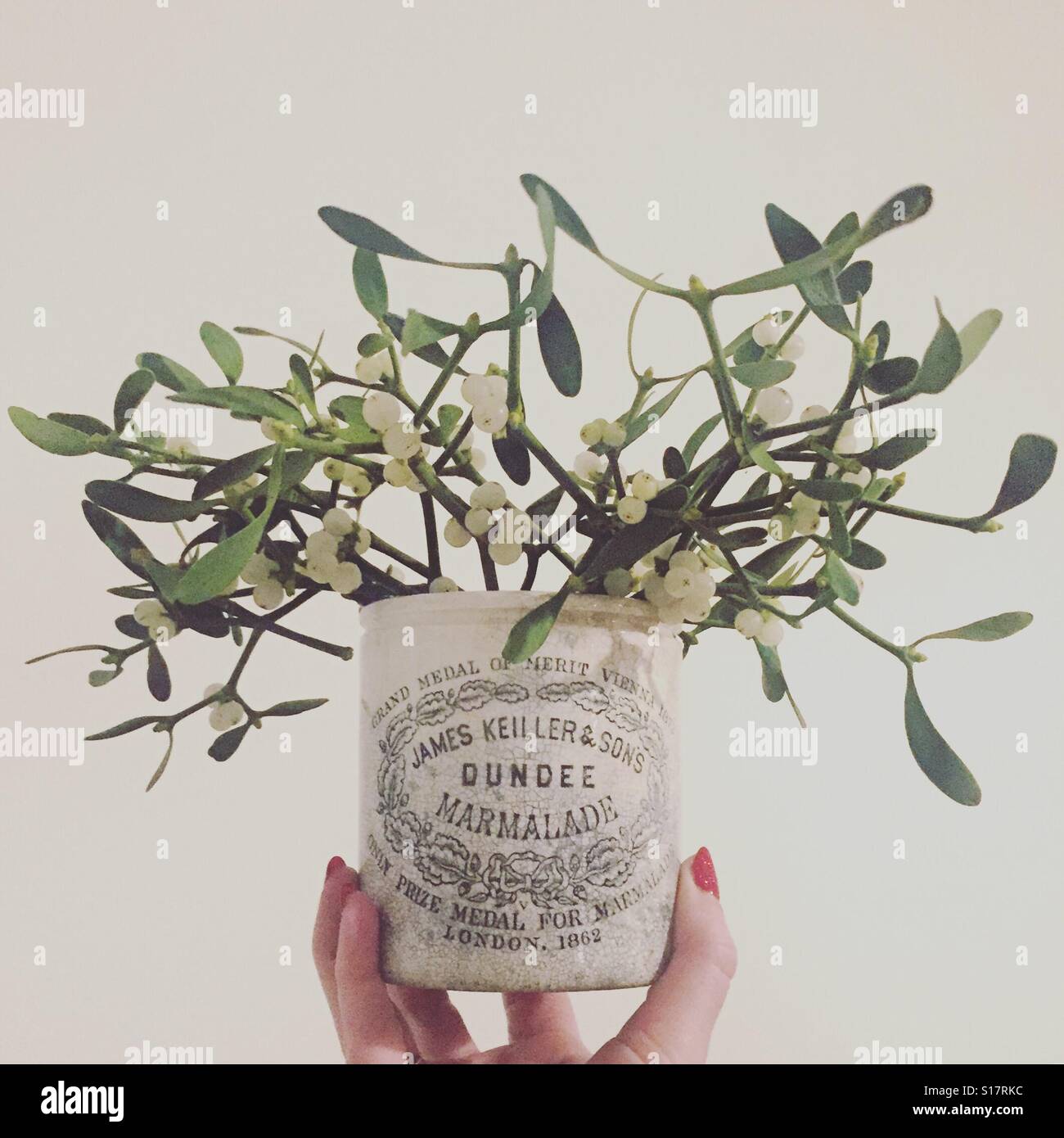 Hand mistletoe hi-res stock photography and images - Alamy