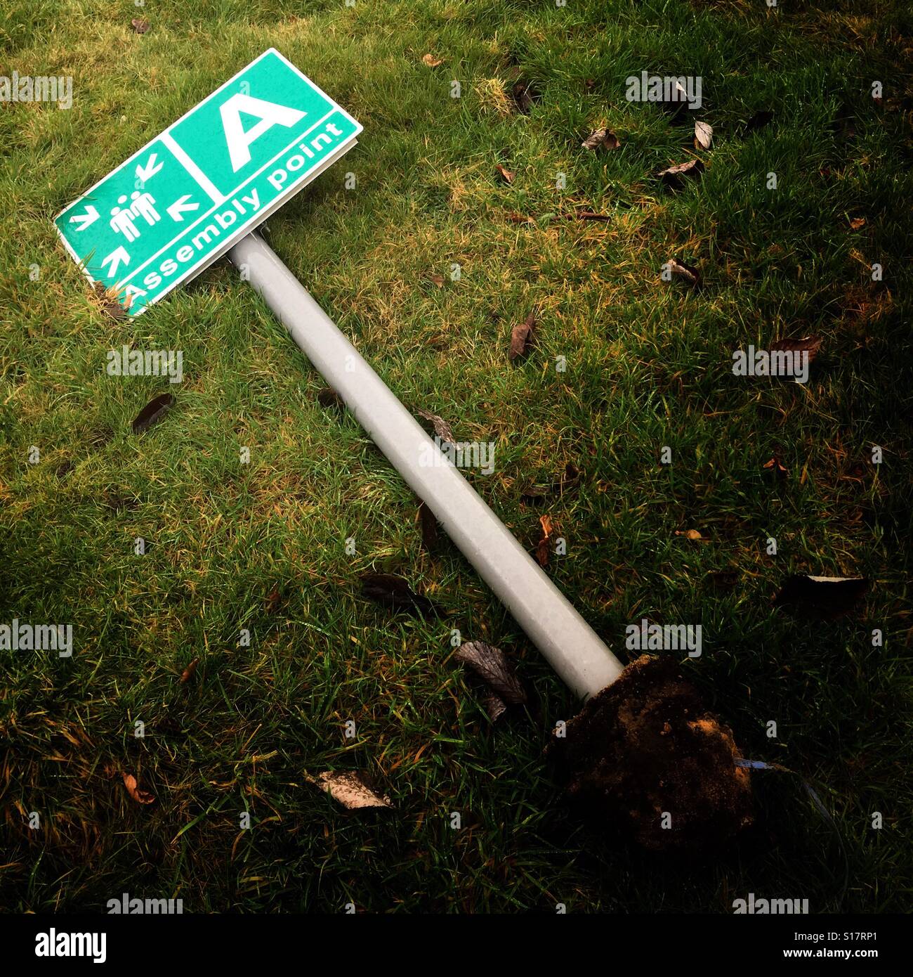 Safety assembly point sign hi-res stock photography and images - Alamy