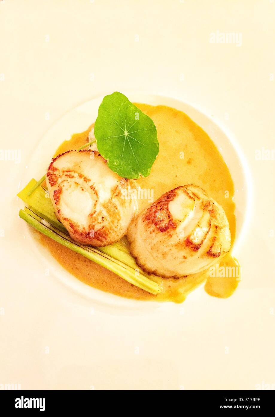Scallops fine dining hi-res stock photography and images - Alamy