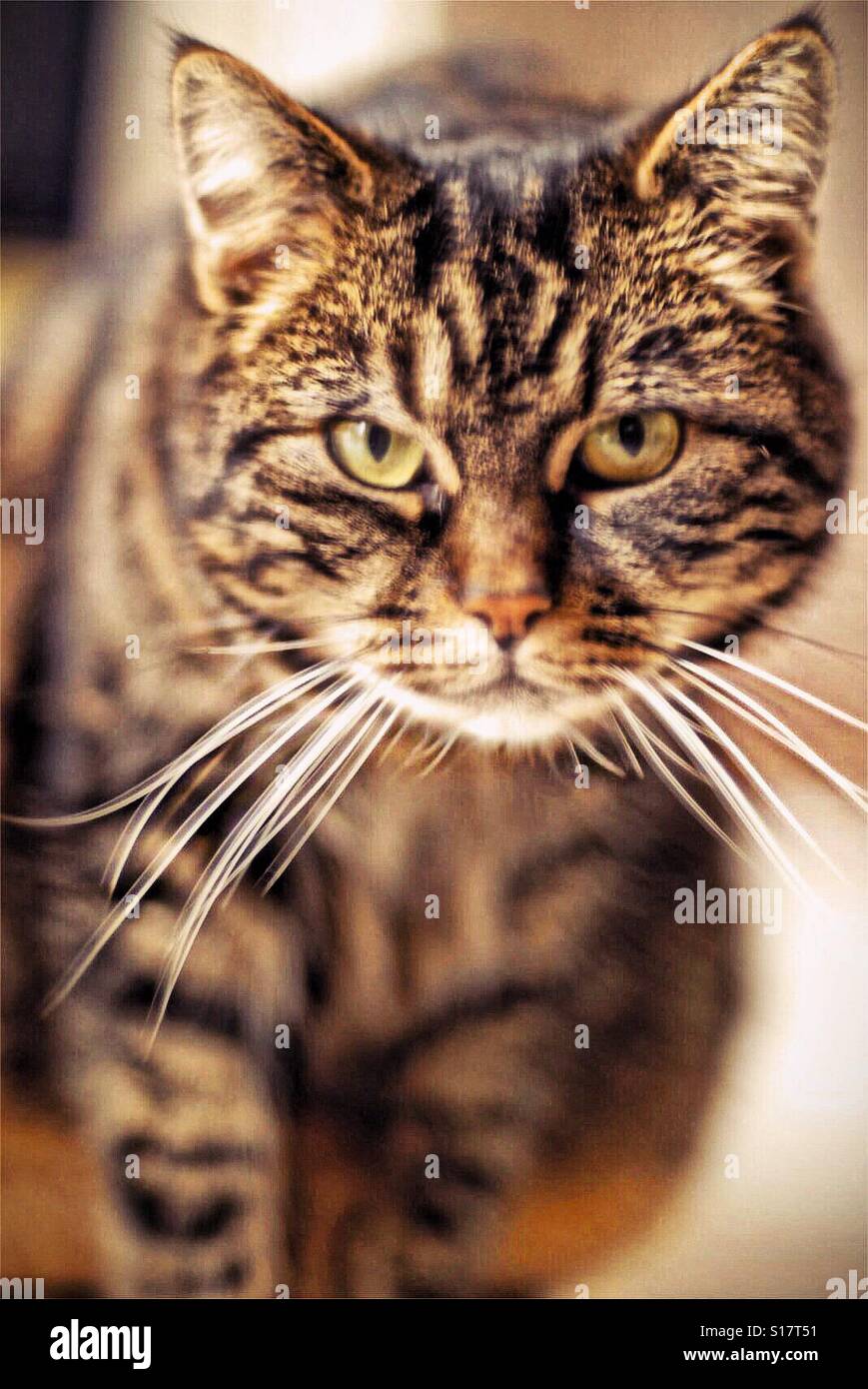 Aware i hi-res stock photography and images - Alamy