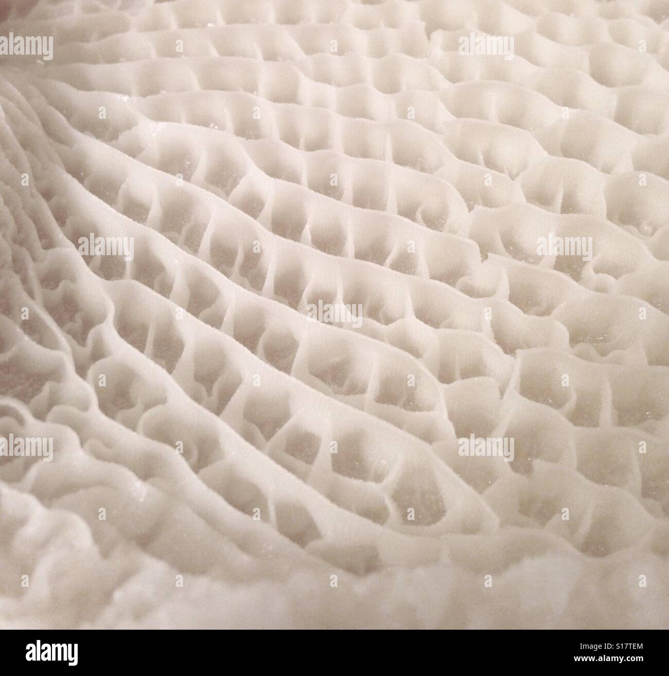 Beef tripe hi-res stock photography and images - Alamy