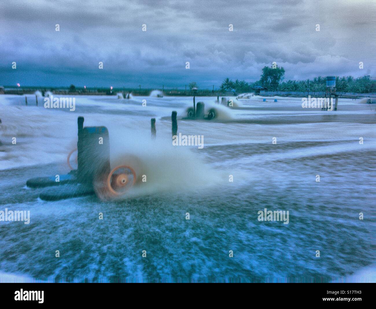 Shrimp hatchery hi-res stock photography and images - Alamy