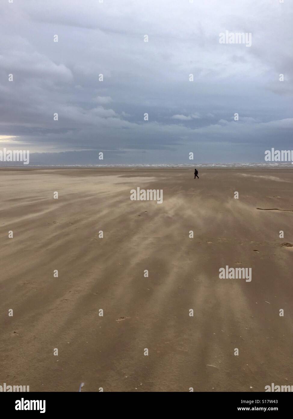 Windswept beach hi-res stock photography and images - Alamy