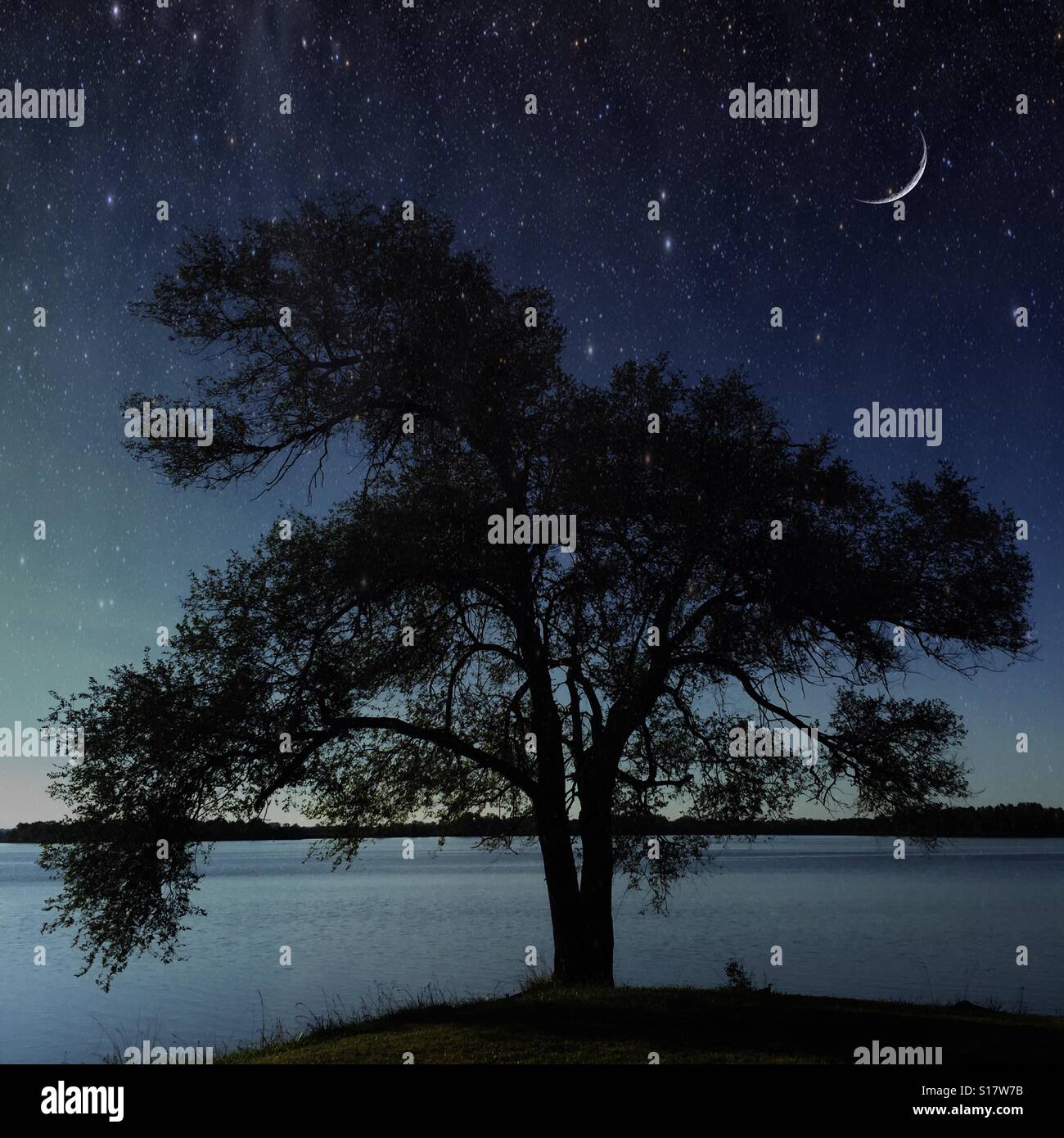 Starlit High Resolution Stock Photography and Images - Alamy