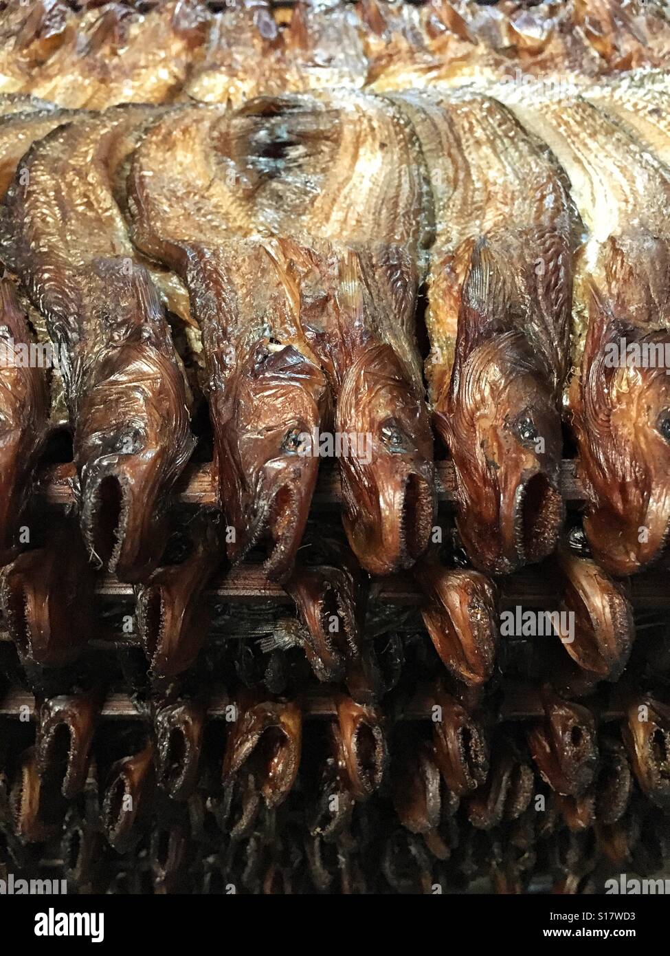 Cambodia Market Dried Fish High Resolution Stock Photography and Images ...