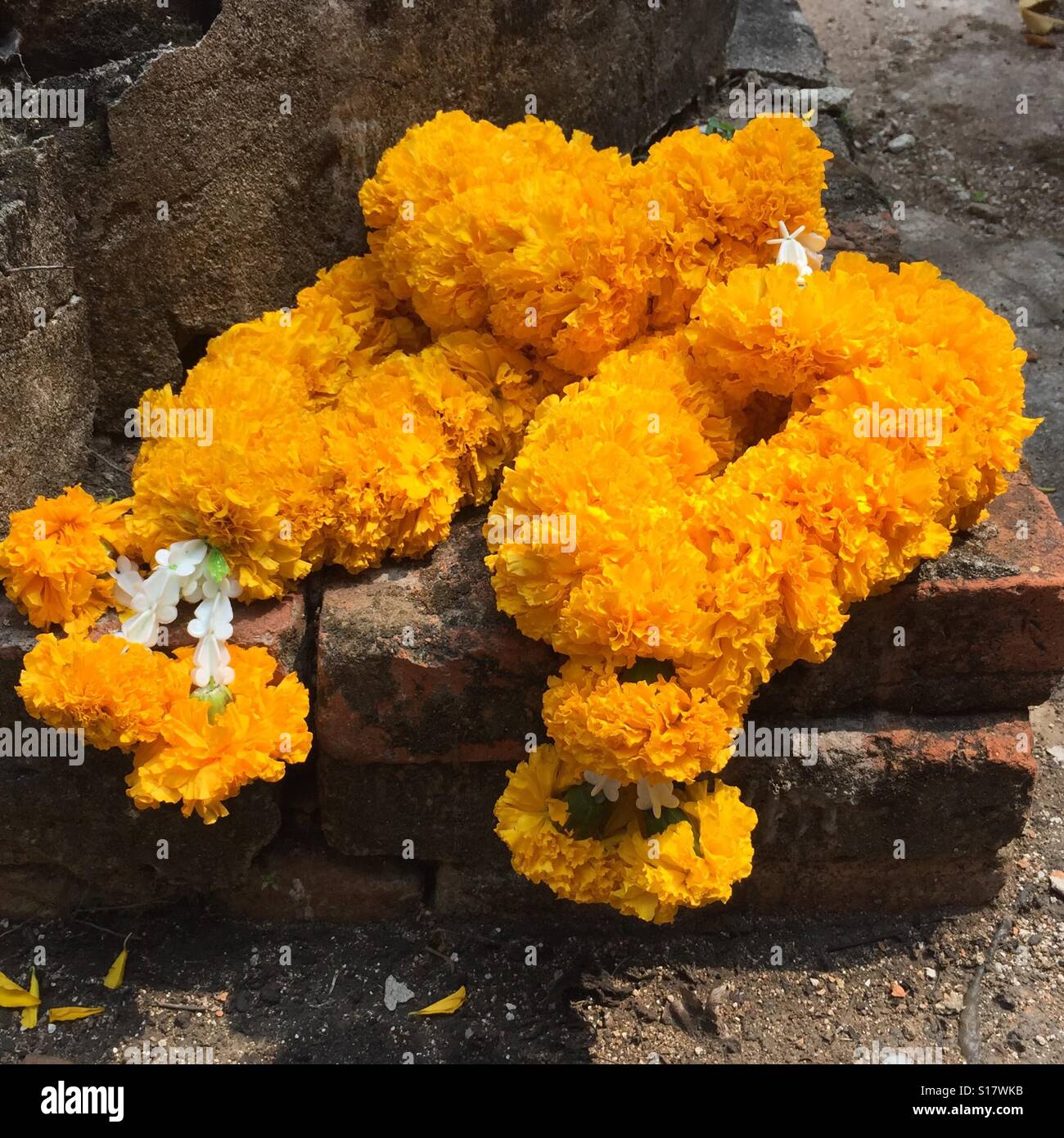 Marigold flower garlands in a temple hi-res stock photography and ...