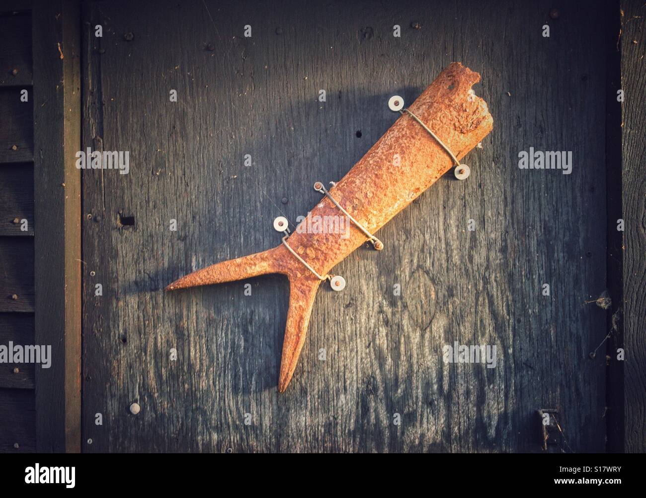 Fish tail hi-res stock photography and images - Alamy