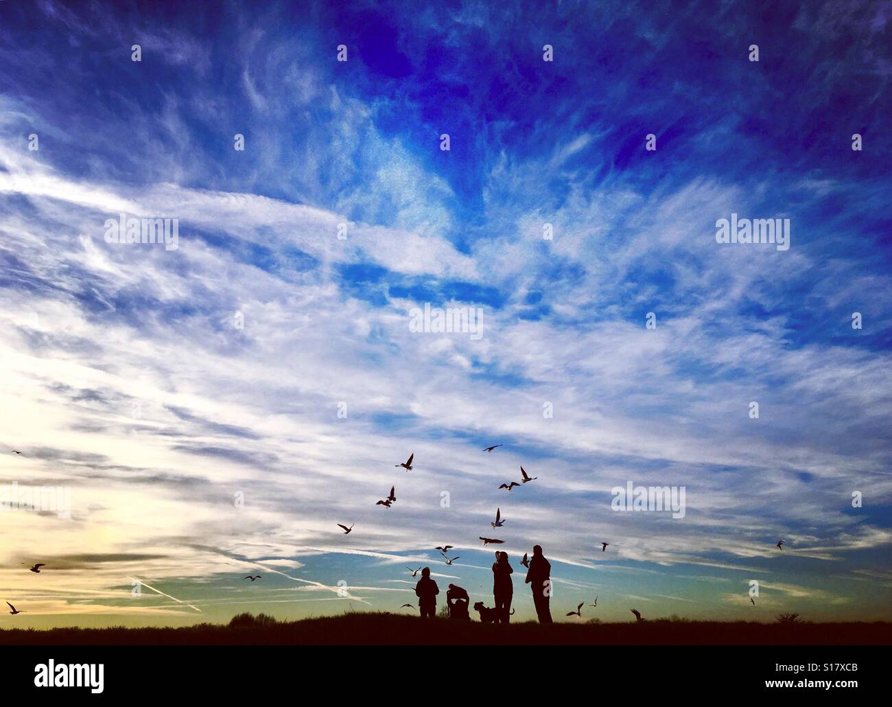 Sunset and my family Stock Photo - Alamy