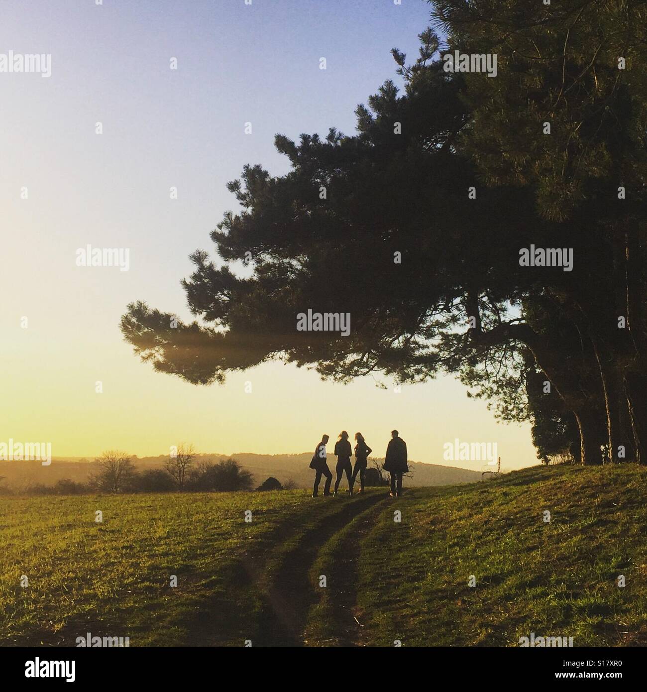 Golden hour walk Stock Photo - Alamy