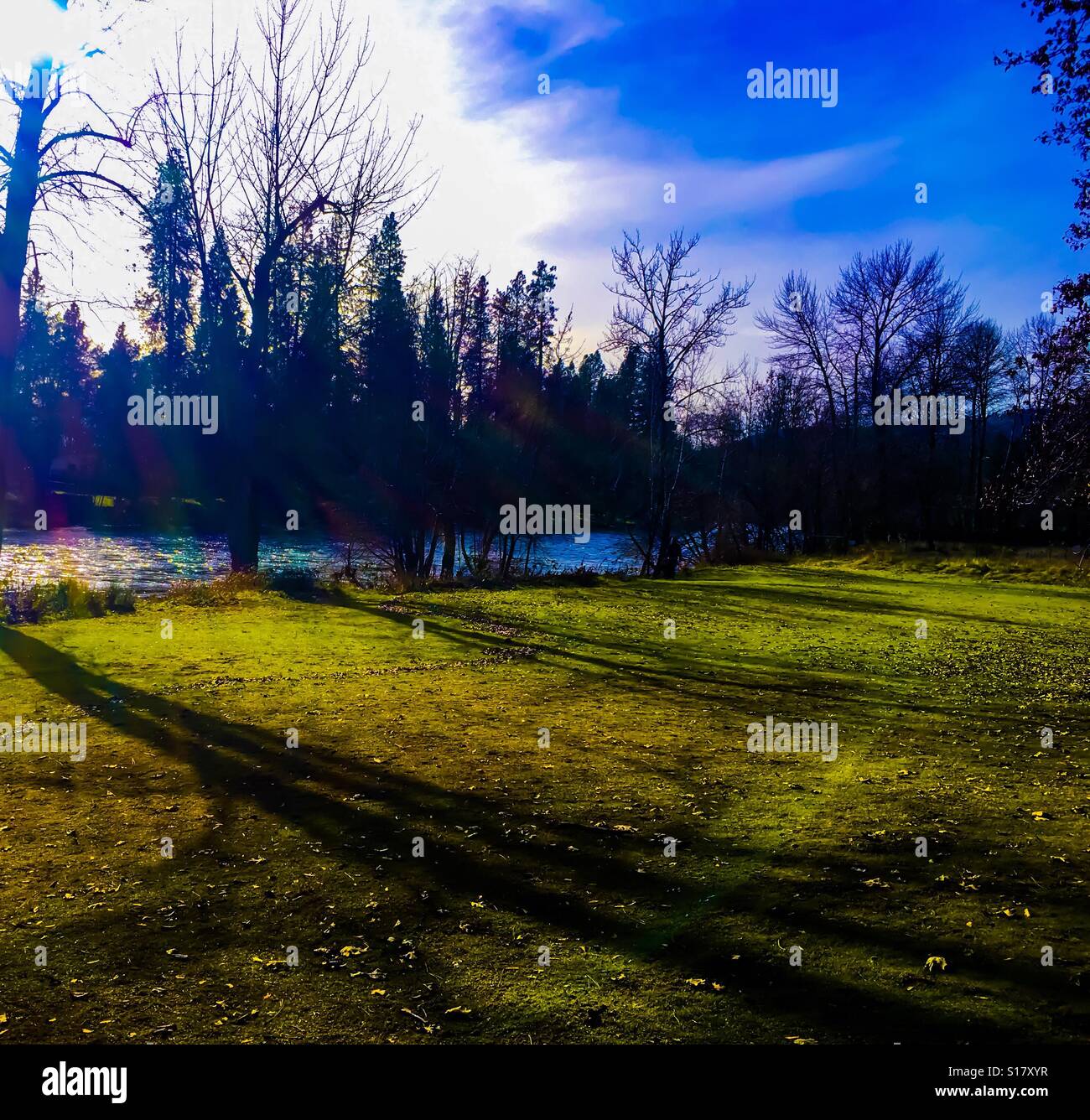 Park shadows hi-res stock photography and images - Alamy