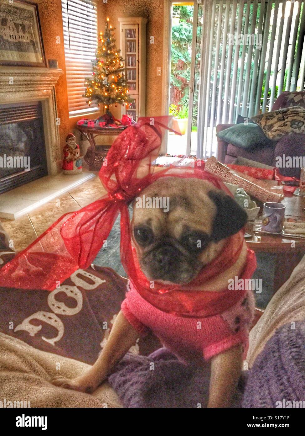 Neck decorations hi-res stock photography and images - Alamy