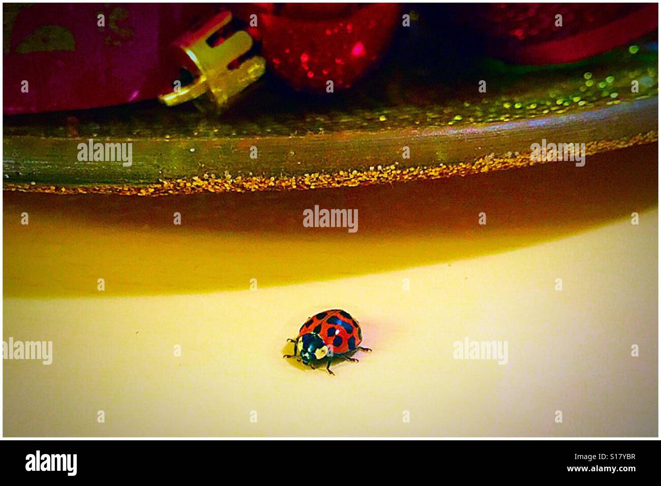 holiday bug (ho-ladybug Stock Photo - Alamy