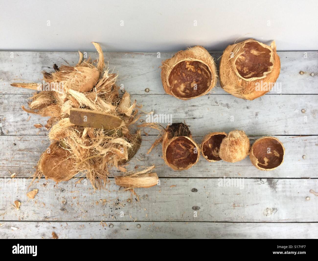 Playing with Coconut Shells Stock Photo - Alamy