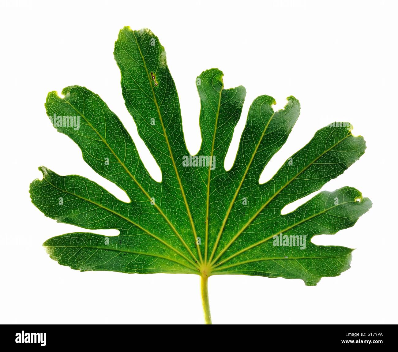 Structure structural hi-res stock photography and images - Alamy