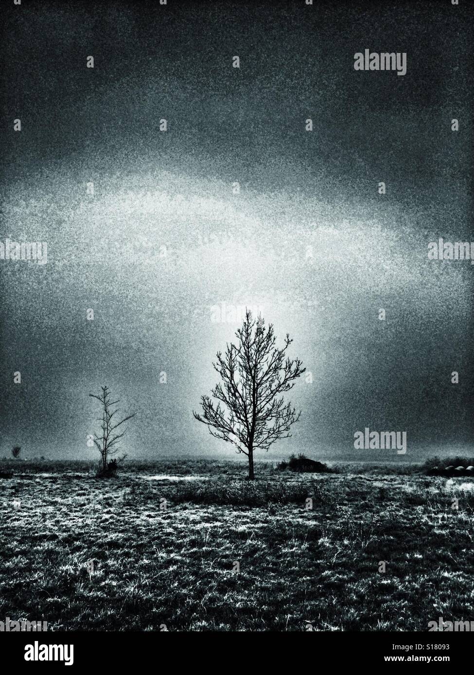 Ethereal effect hi-res stock photography and images - Alamy