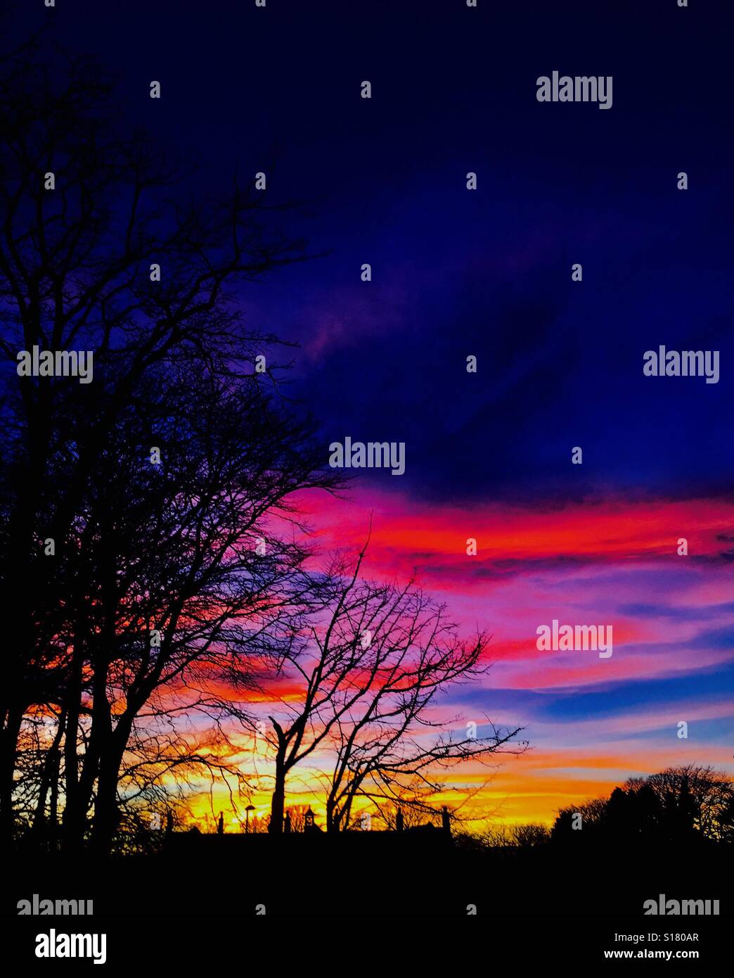 Layers of sunset through trees Stock Photo - Alamy