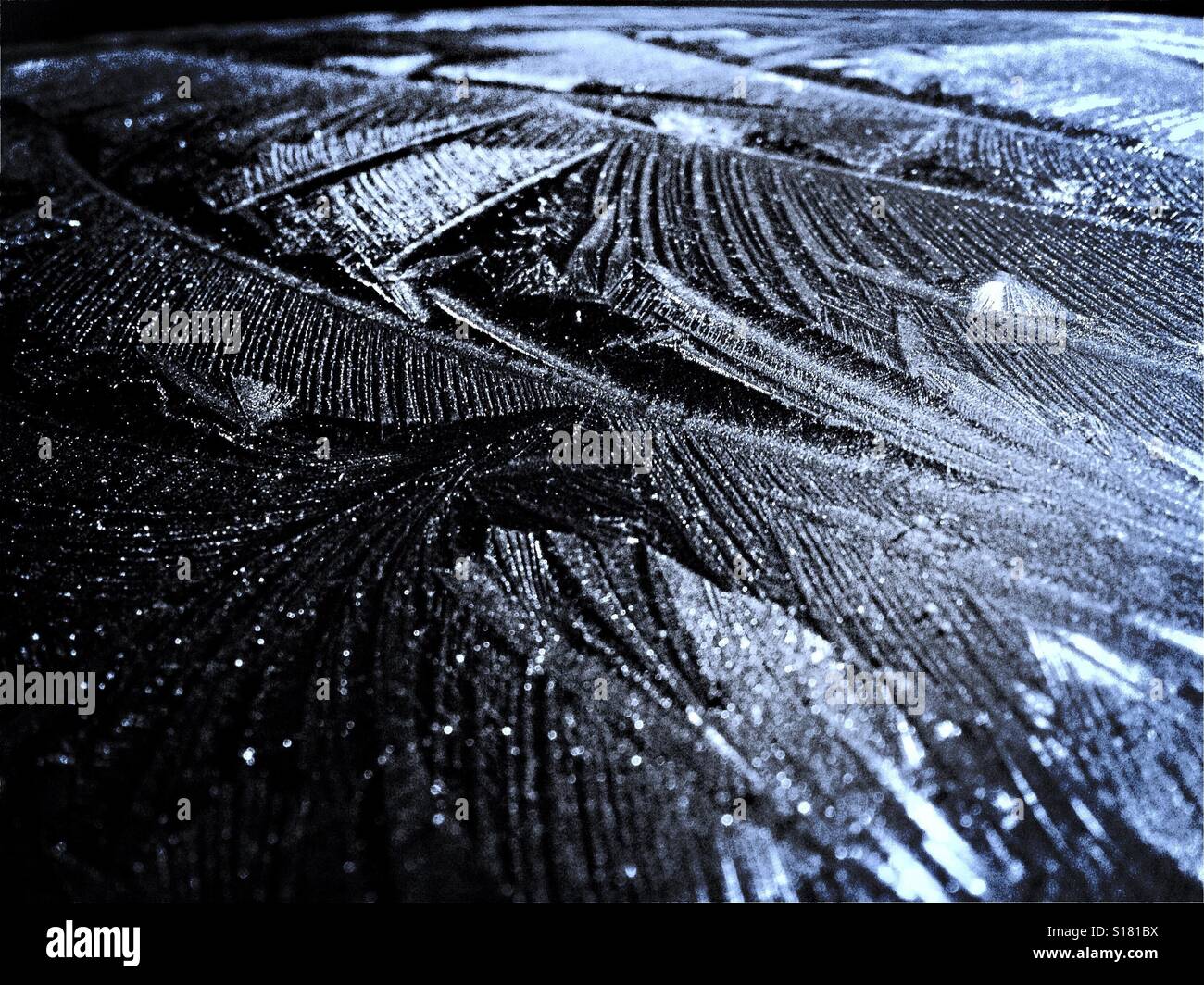 Icy patterns hi-res stock photography and images - Alamy