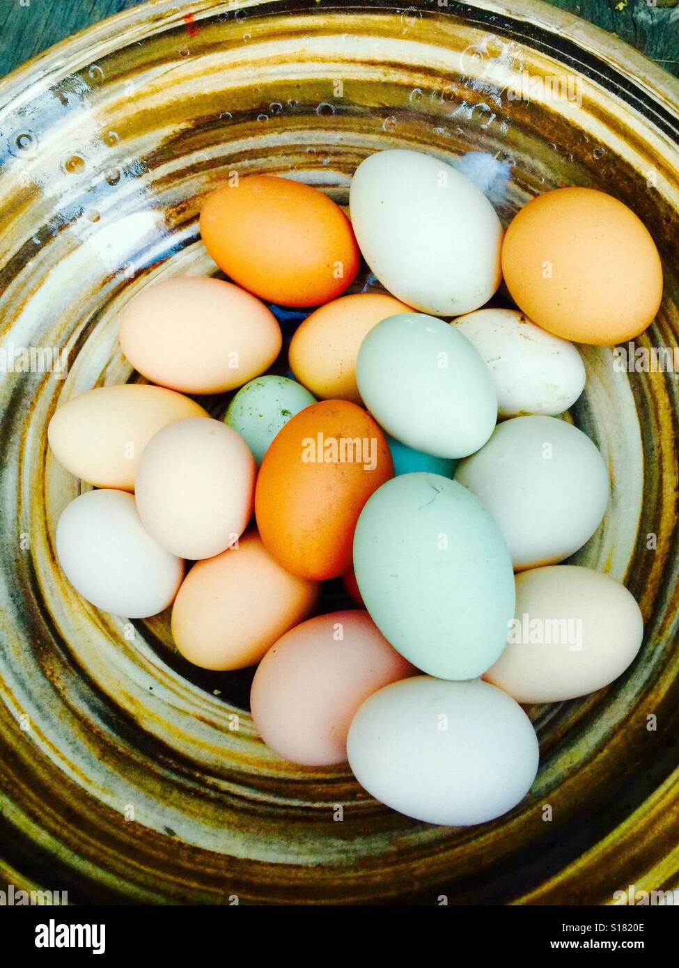 Rainbow farm hi-res stock photography and images - Alamy