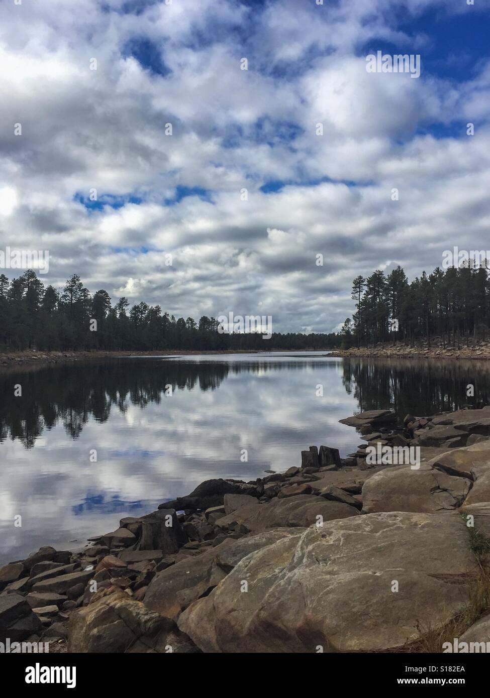 Nature example hi-res stock photography and images - Alamy