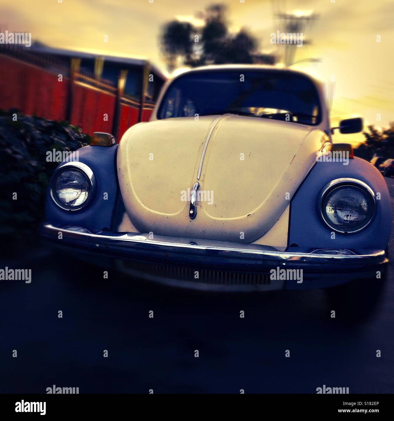 The Beatle 5 Stock Photo - Alamy