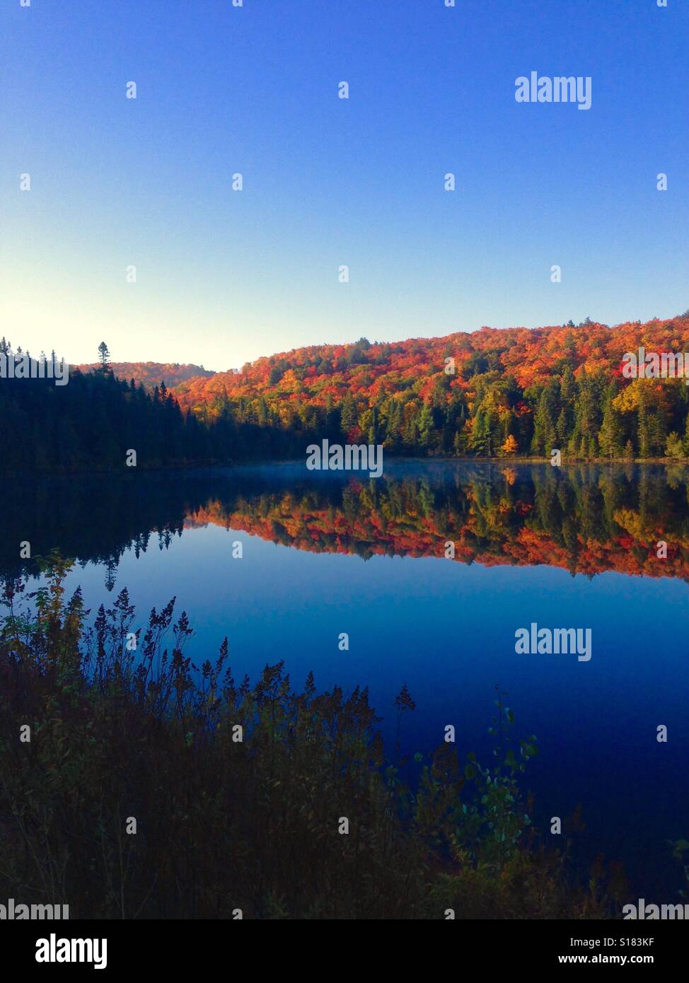 Fall color on lakeshore hi-res stock photography and images - Alamy