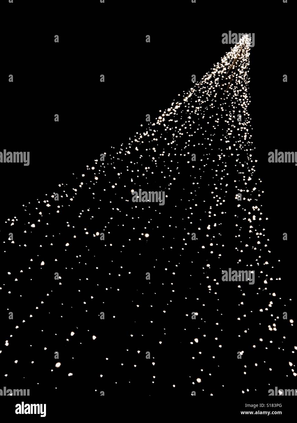 Array of trees hi-res stock photography and images - Alamy