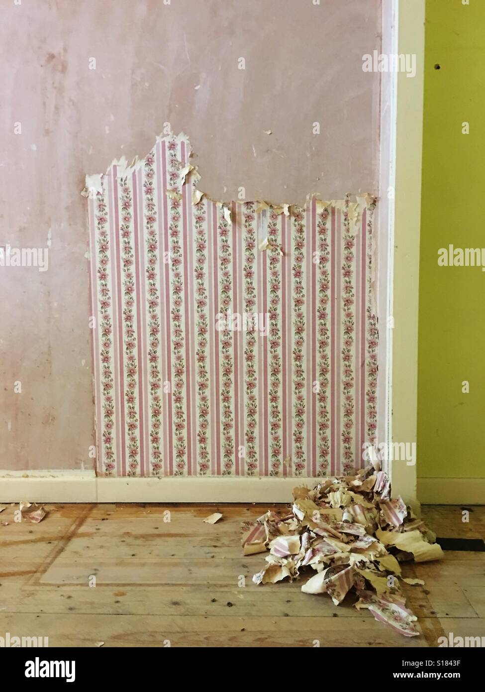 Peeling wallpaper Stock Photo - Alamy Peeling wallpaper Stock Photo - Alamy