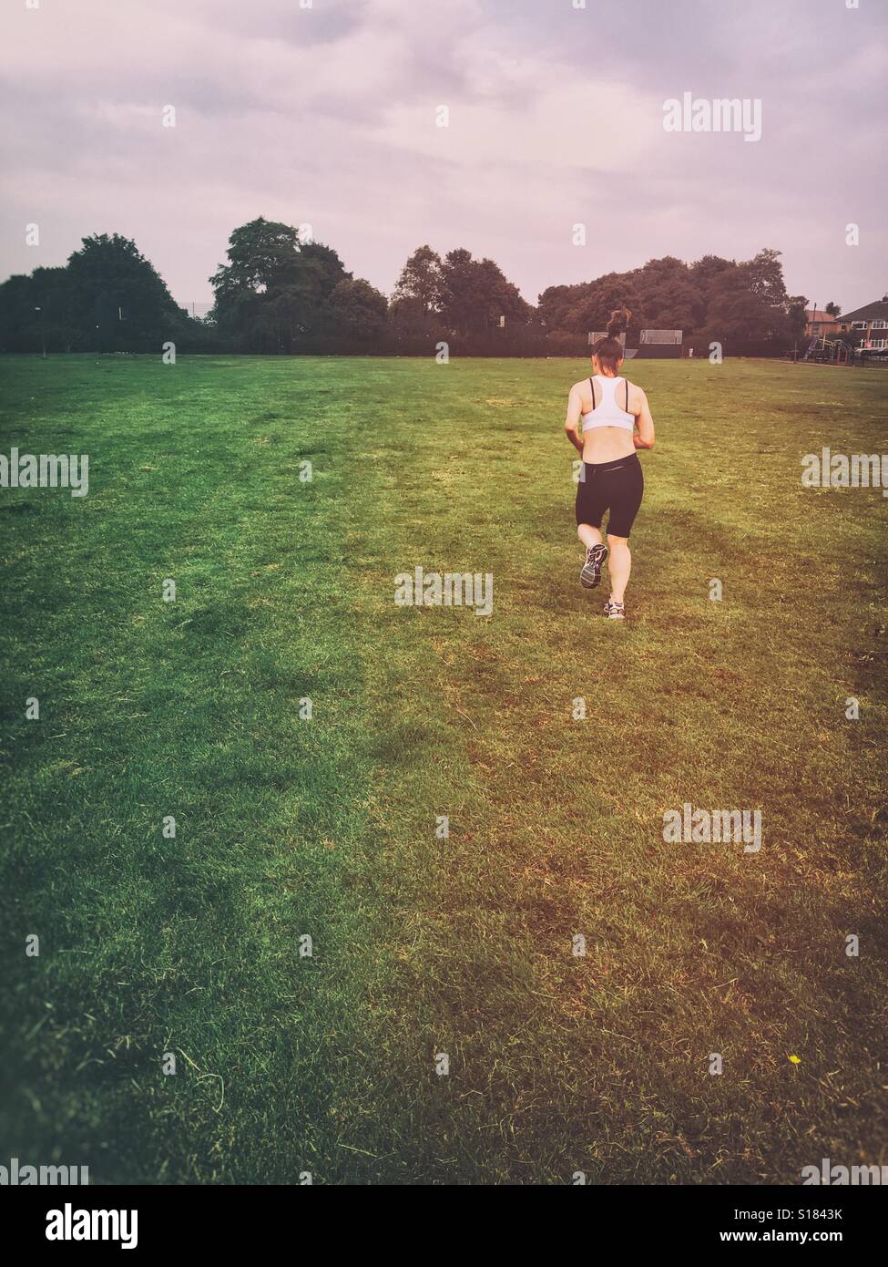 Woman doing exercise in a park Stock Photo - Alamy