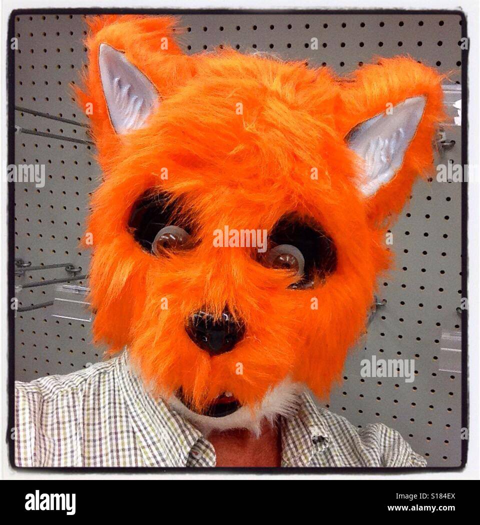 Fox costume hi-res stock photography and images - Alamy