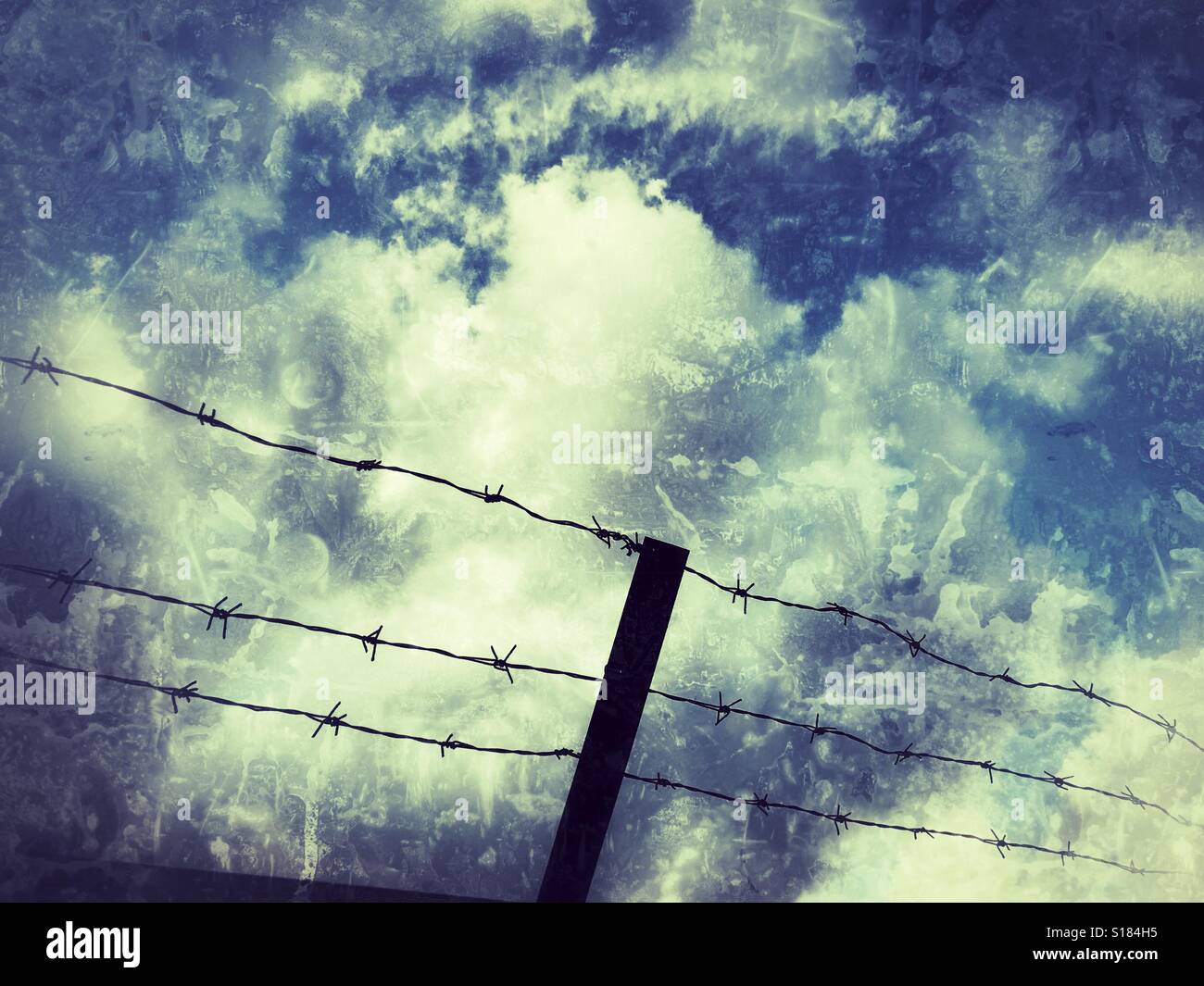 Barbed wired hi-res stock photography and images - Alamy