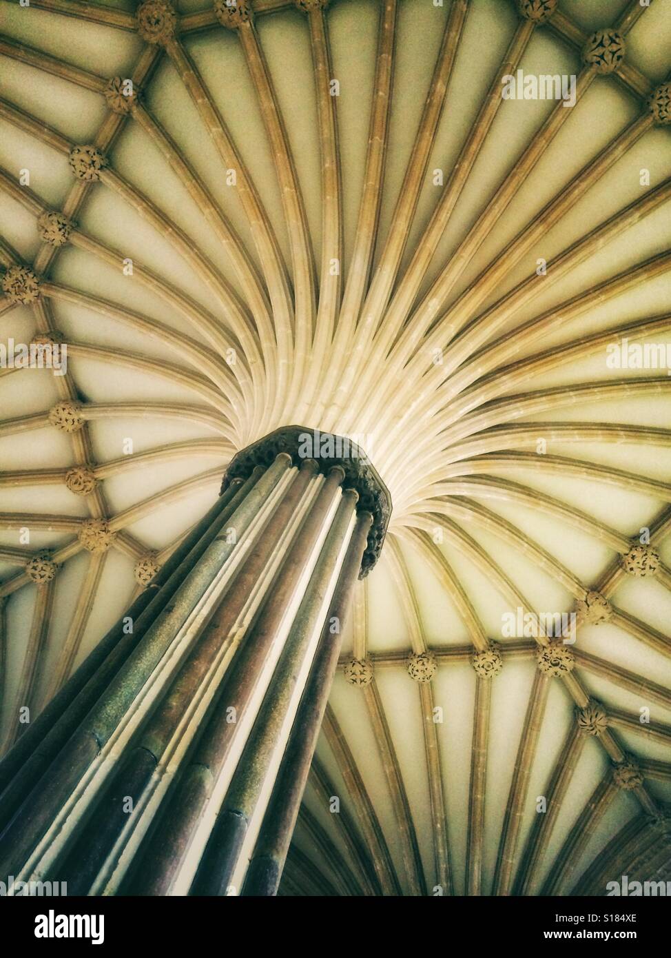 Beautiful columns in the Lady Chapel, Wells Cathedral, Somerset Stock ...