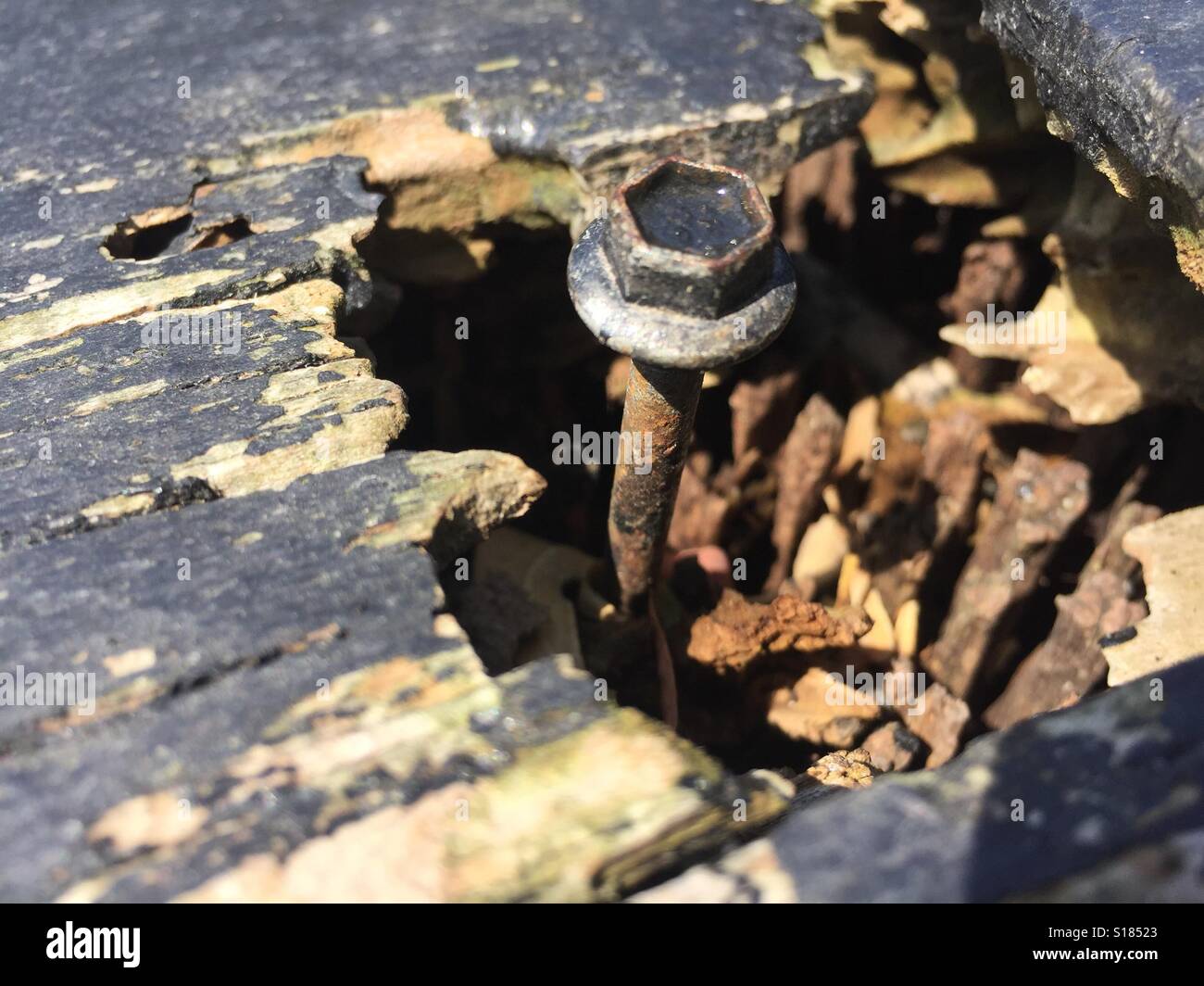 Chipped Wood High Resolution Stock Photography and Images - Alamy