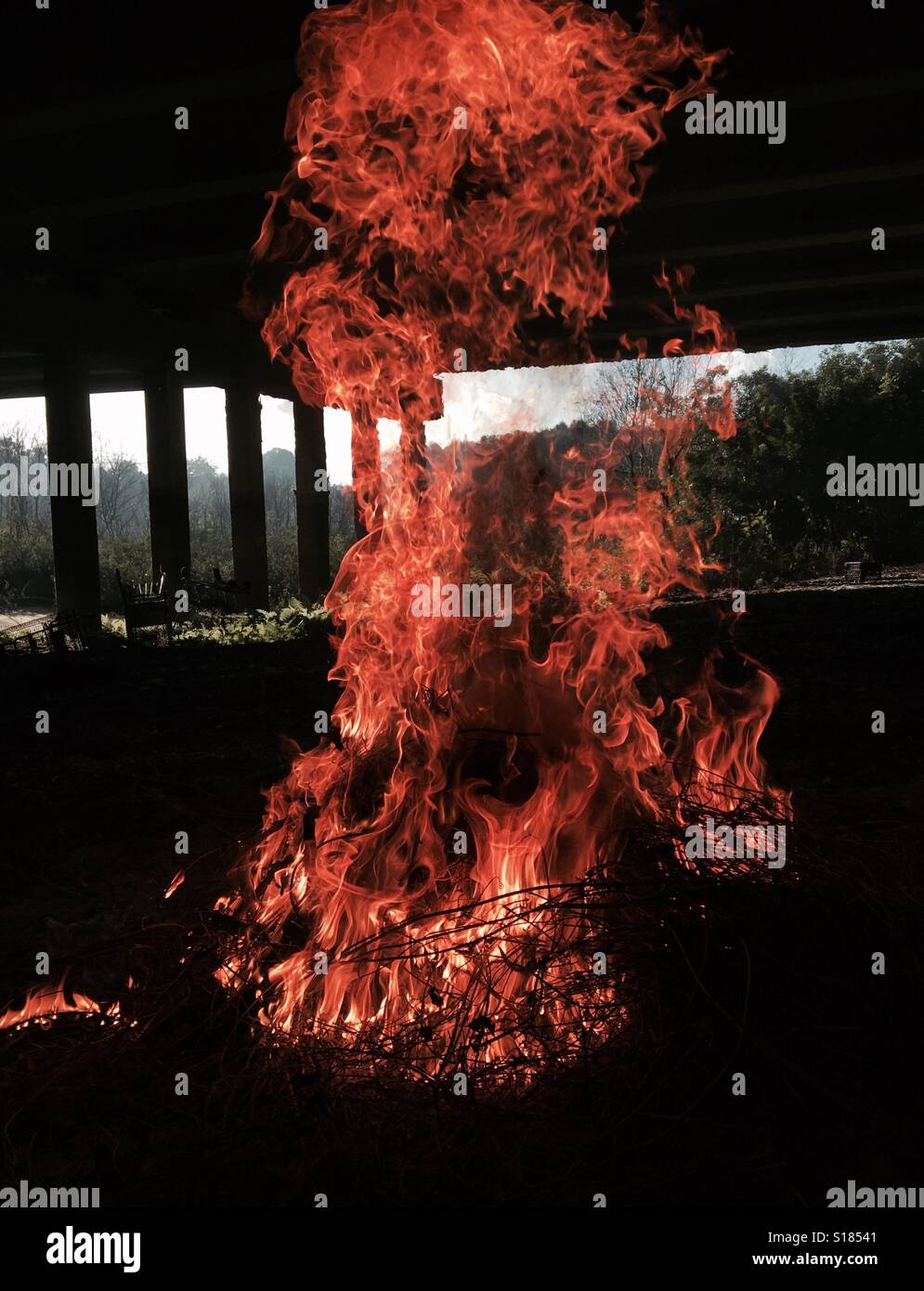 Fire trees hi-res stock photography and images - Alamy