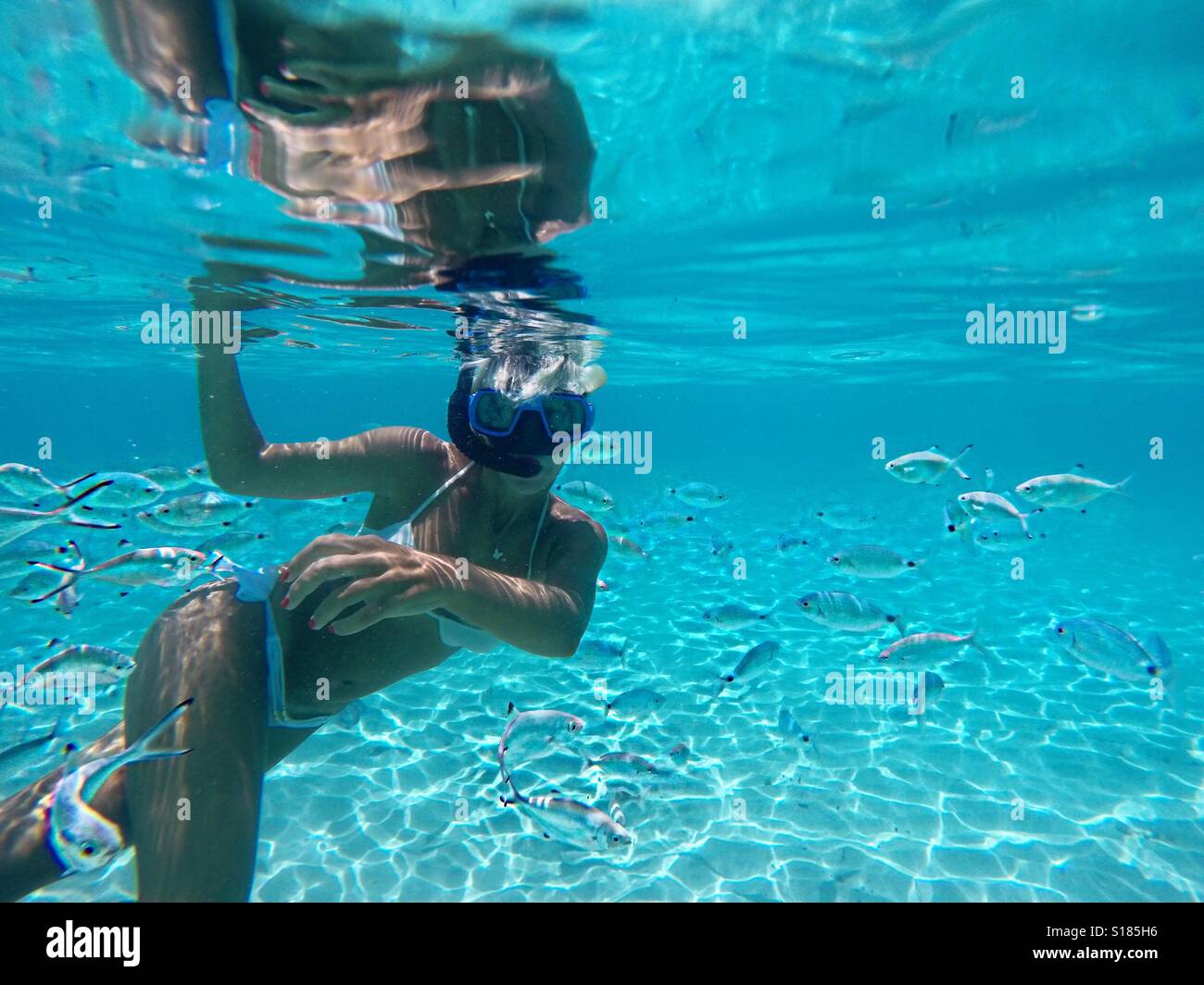 Swimming with a fishes Stock Photo - Alamy