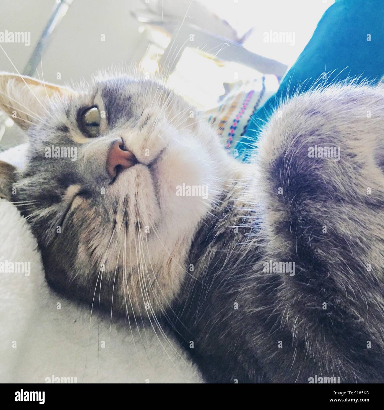 Open one eye hi-res stock photography and images - Alamy