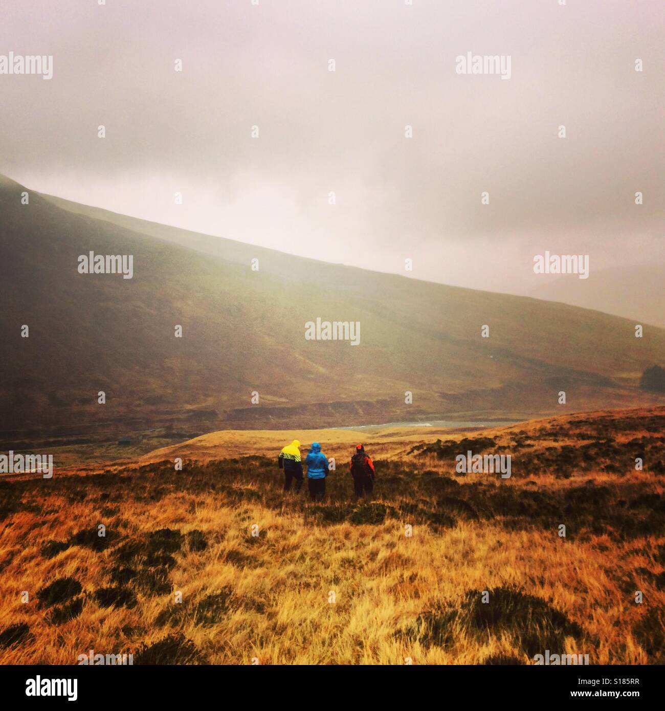 Windy lovely hi-res stock photography and images - Alamy