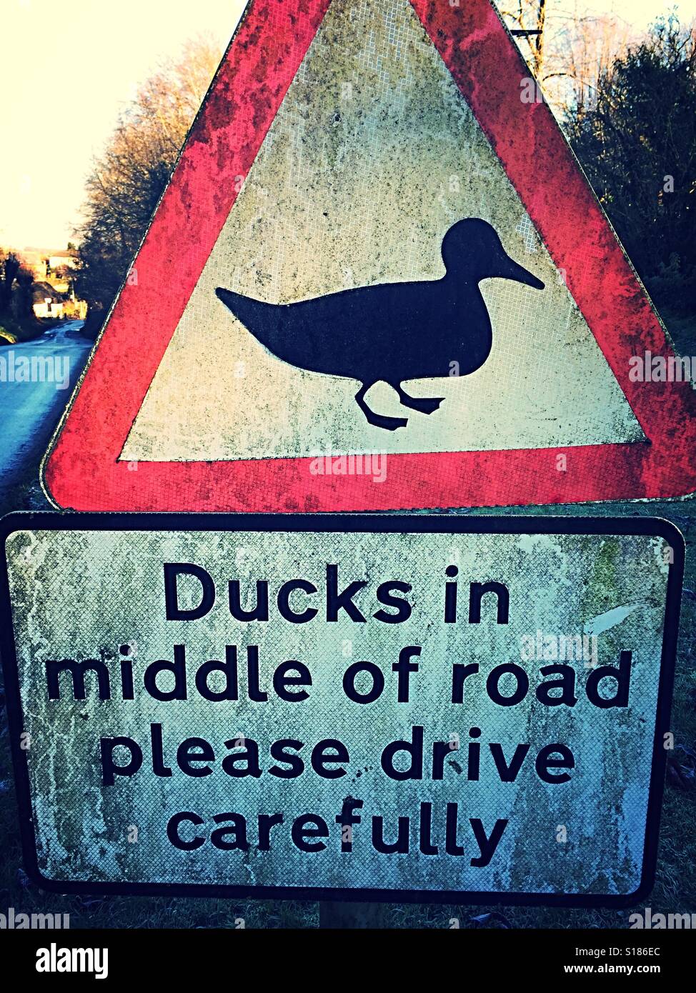Ducks crossing please drive carefully sign in country village Stock ...