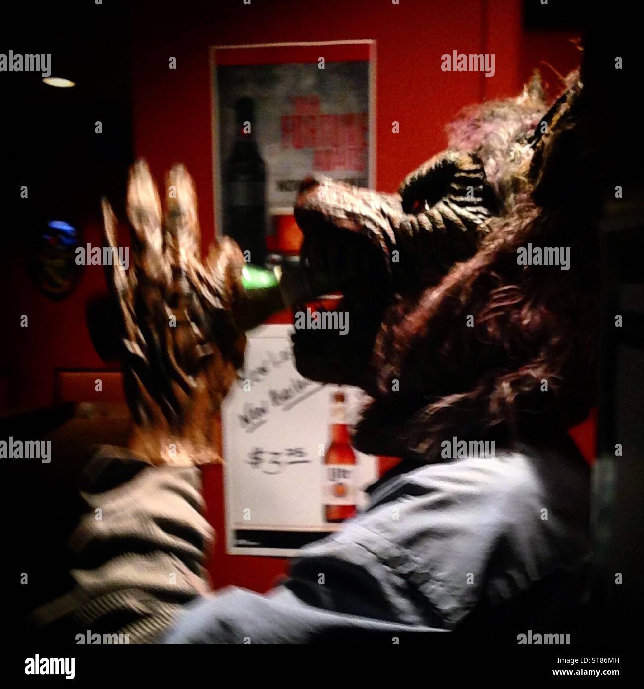 Halloween wolf man swigging a beer Stock Photo - Alamy