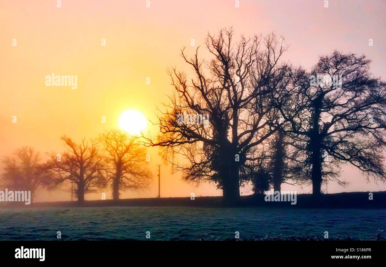 Cold and misty winter morning Stock Photo - Alamy