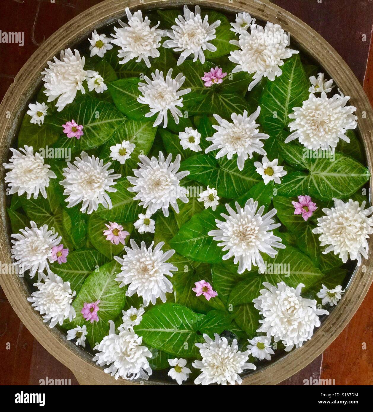Floating arrangement hi-res stock photography and images - Alamy