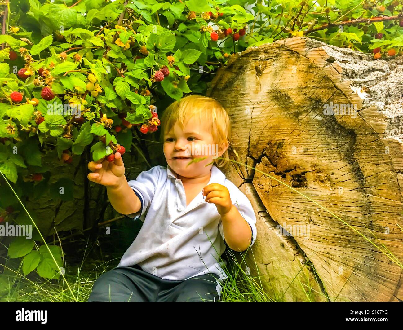 Happy berries hi-res stock photography and images - Alamy