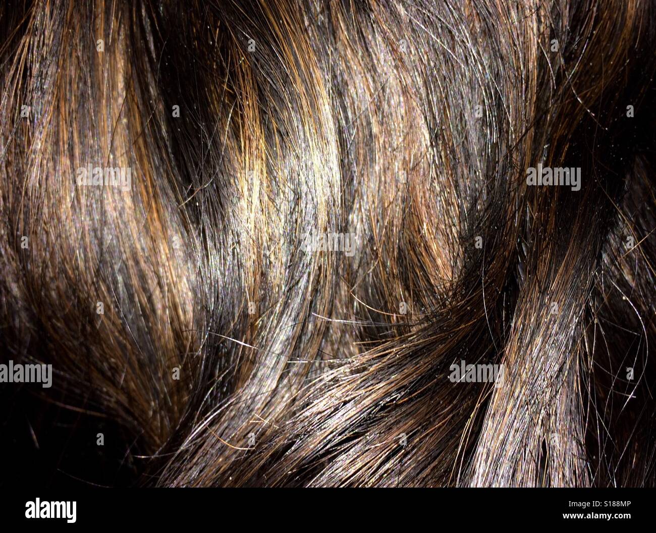 Textured hair hi-res stock photography and images - Alamy