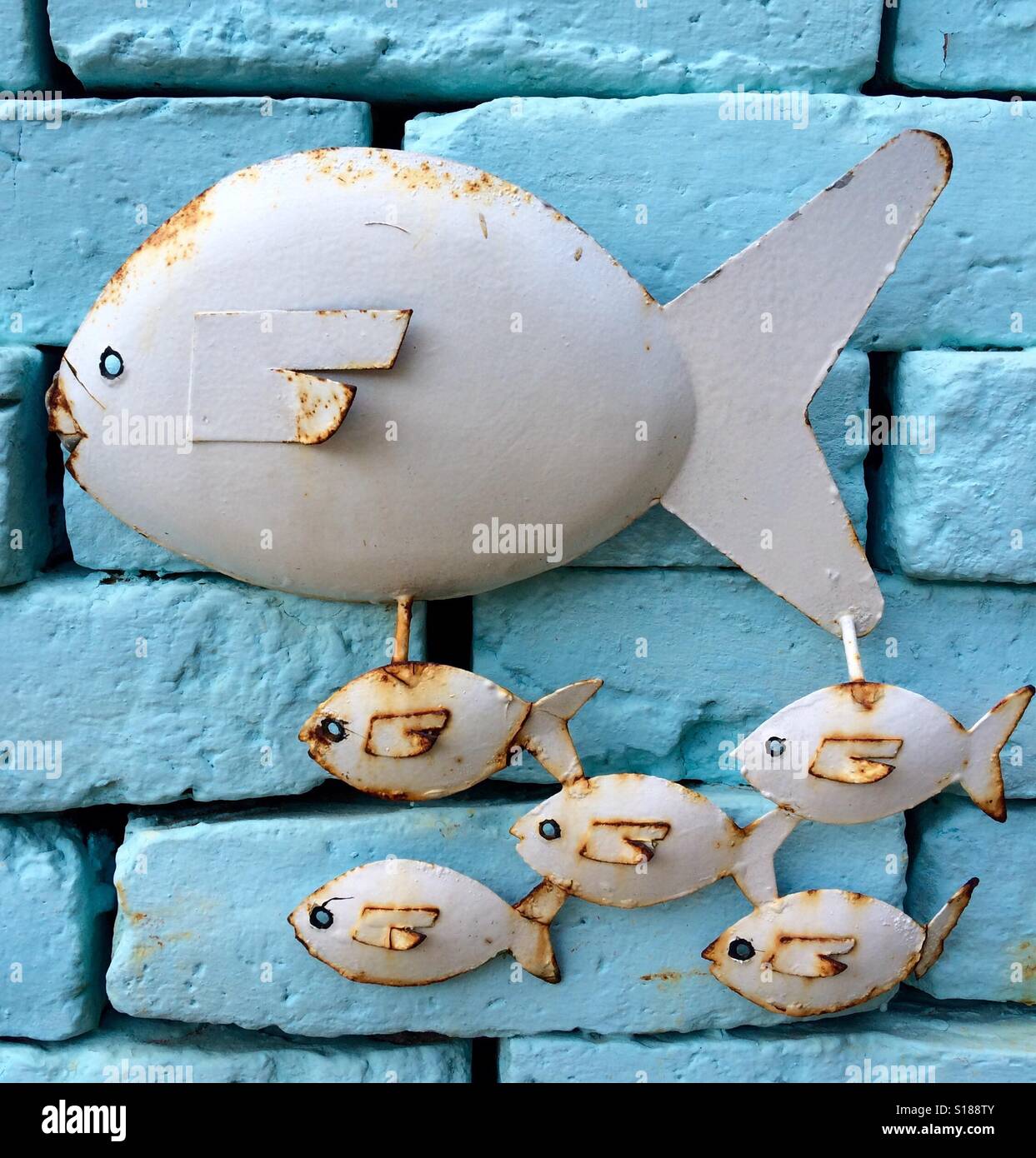 Big and little fish Stock Photo - Alamy