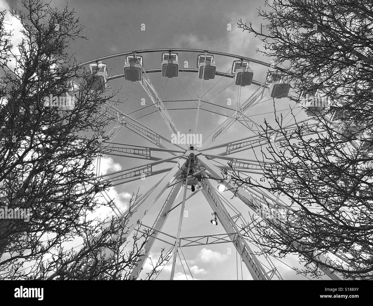 A big wheel in winter sunlight seen through the bare branches of trees ...