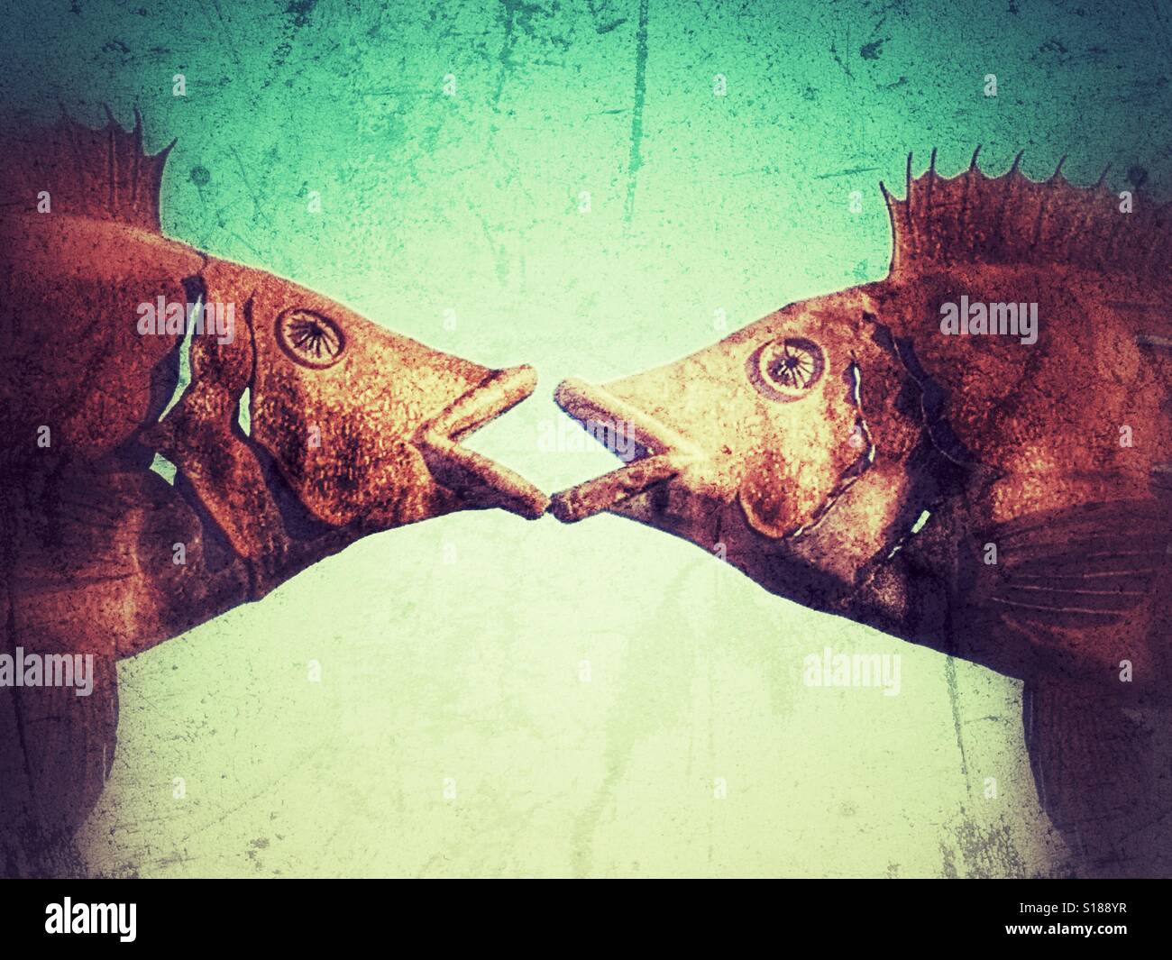 Rusty fish kiss Stock Photo - Alamy