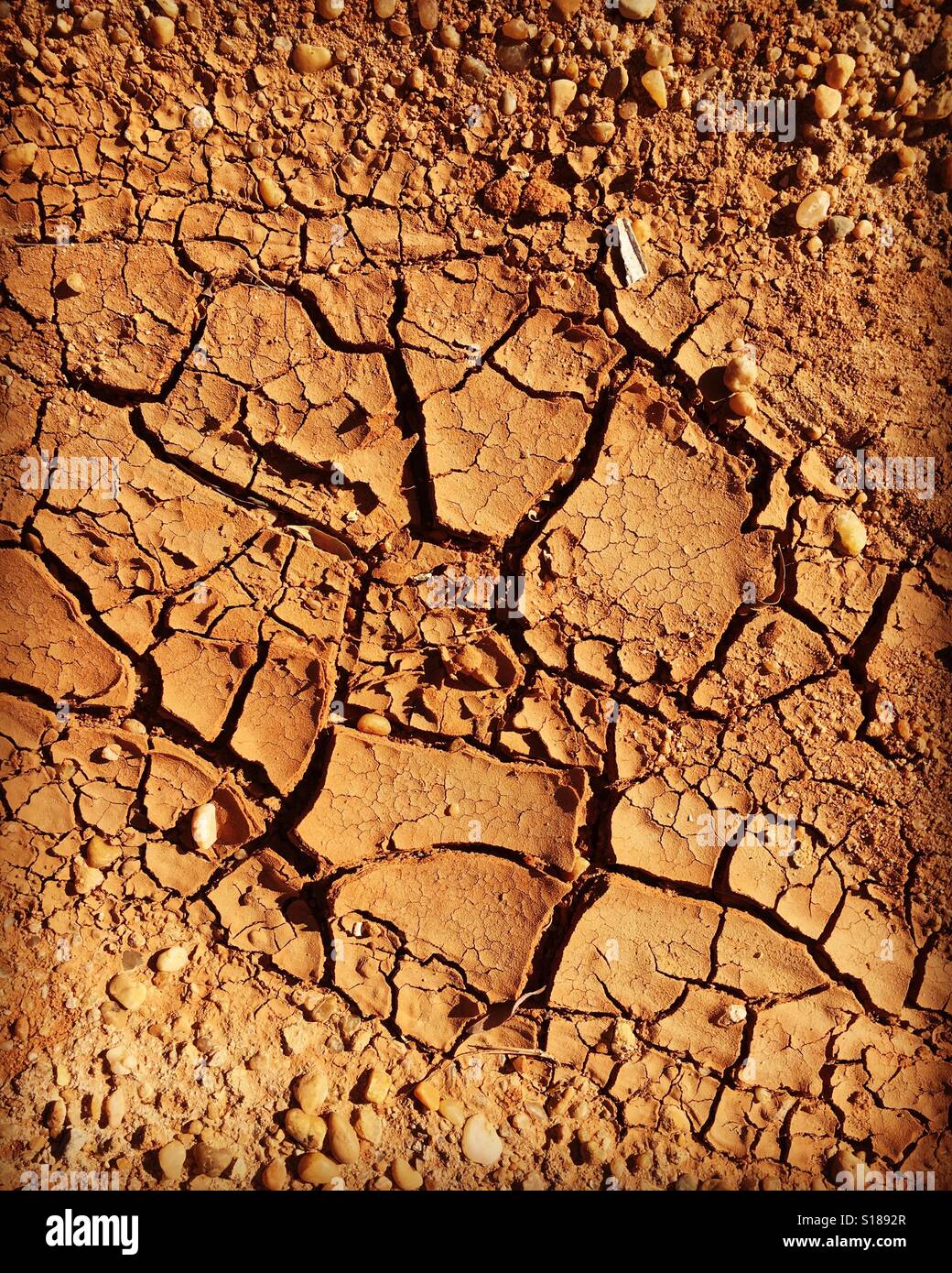 Dehydrated desert hi-res stock photography and images - Alamy